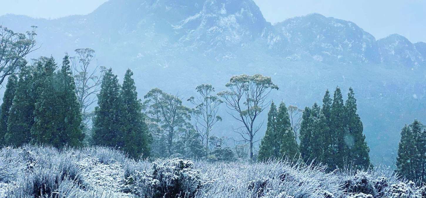 Tasmanian Winter Walks - Guided 8 Day Overland Track Adventure