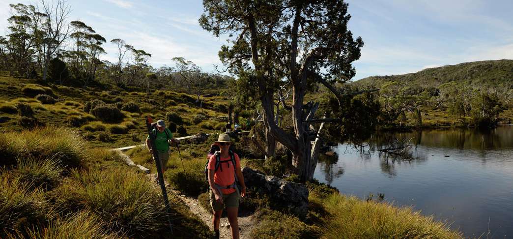 This evening, at Pine Forest Moor Hut, enjoy our outdoor dining setting ...