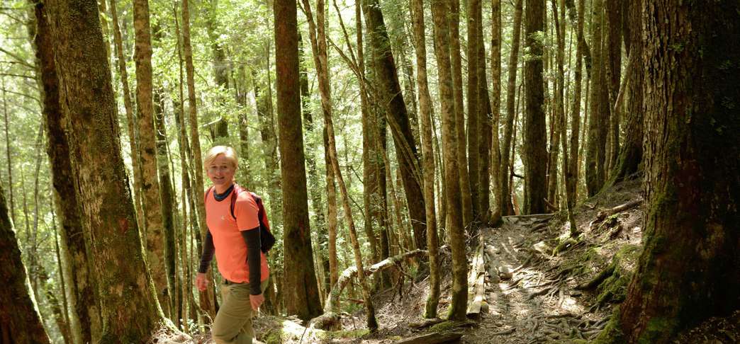 Cradle Mountain Huts Walk: The Overland Track, Tasmania
