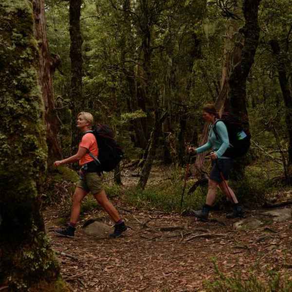 Overland Track Adventure Walks - Tasmanian Walking Company