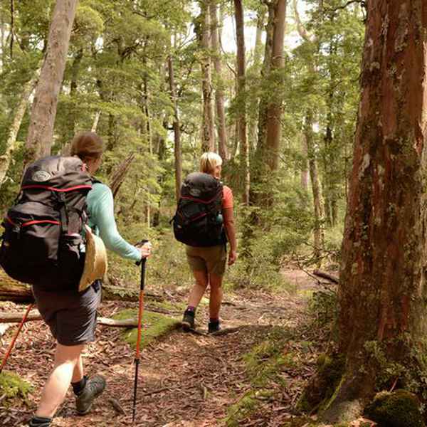 Kia Ora Hut - Windy Ridge Hut