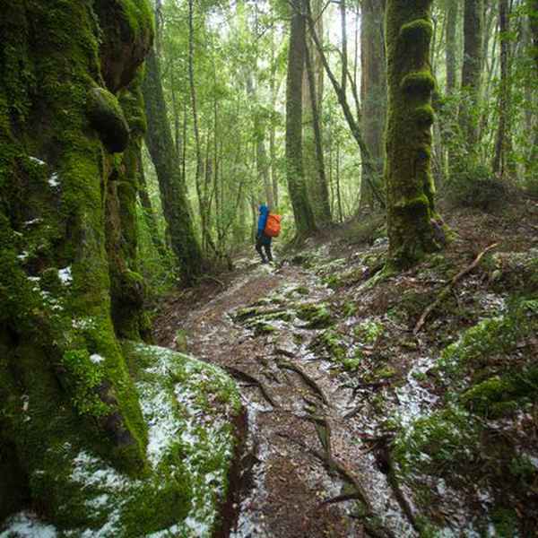 Overland Track Adventure Walks - Tasmanian Walking Company