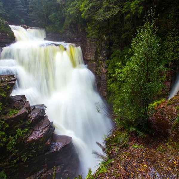 Kia Ora Hut - Windy Ridge Hut