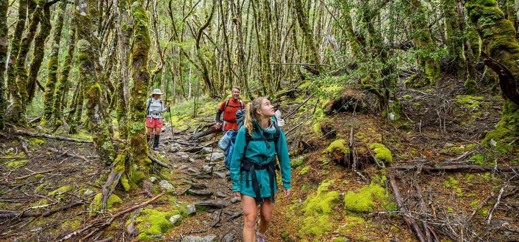 Cradle Mountain: Guided walks on the Overland Track, Tasmania
