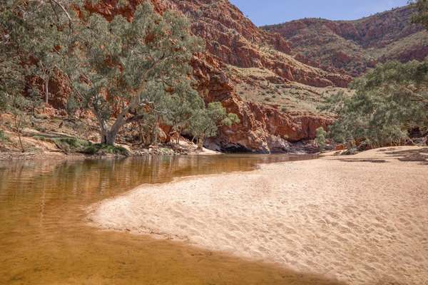 Larapinta Limited Edition