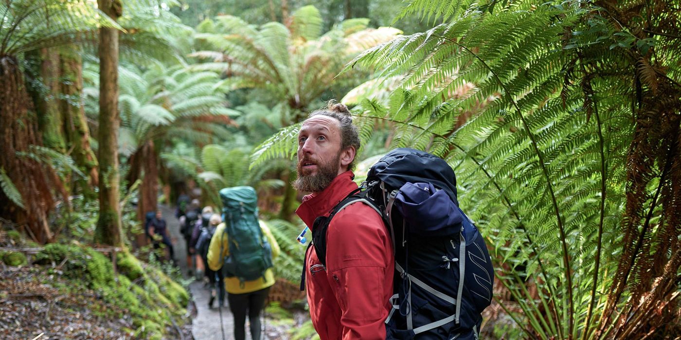 Reclaim Your Wellbeing on a Doctor's Walk